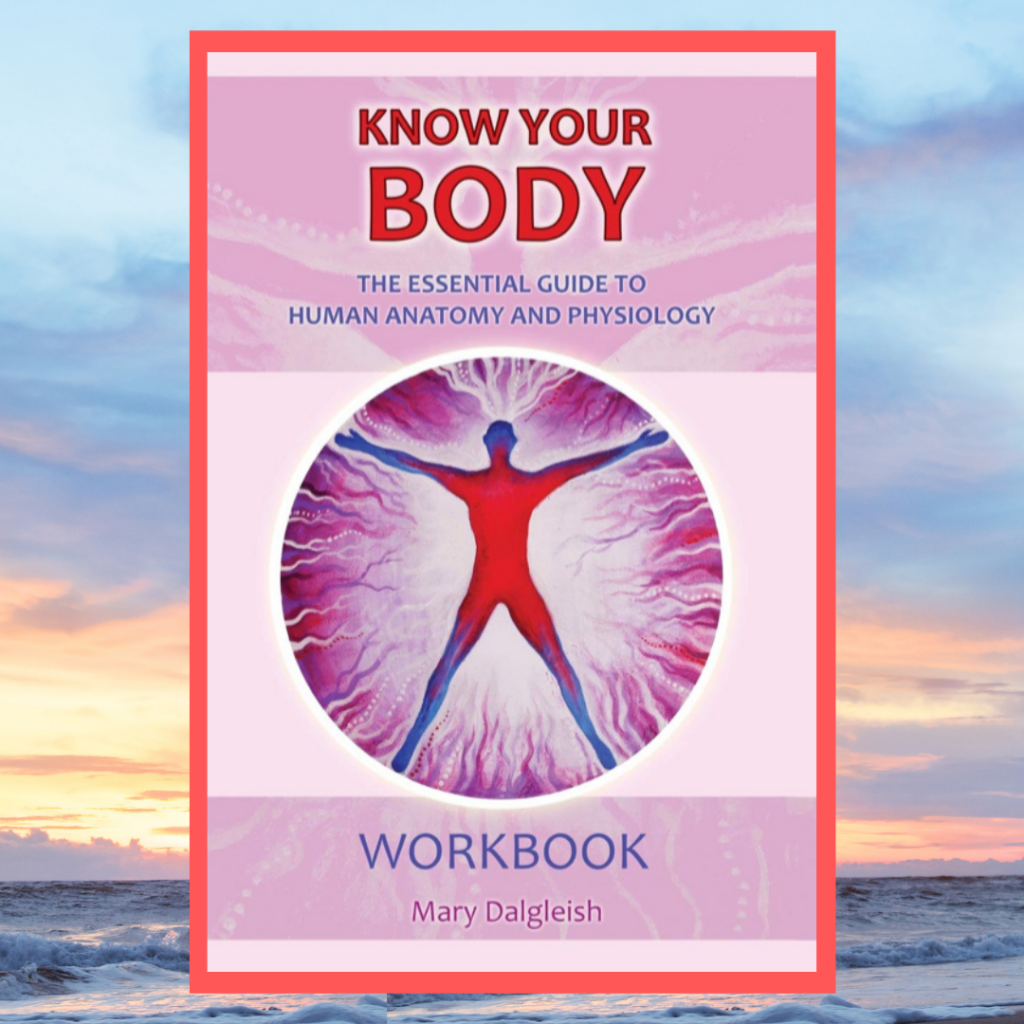 Know Your Body: Workbook